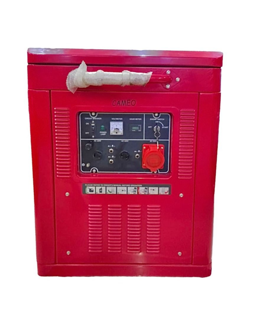 AG 19000 DXS 16 KVA ( 11000 Watts) Petrol + Gas Canopy Generator ...